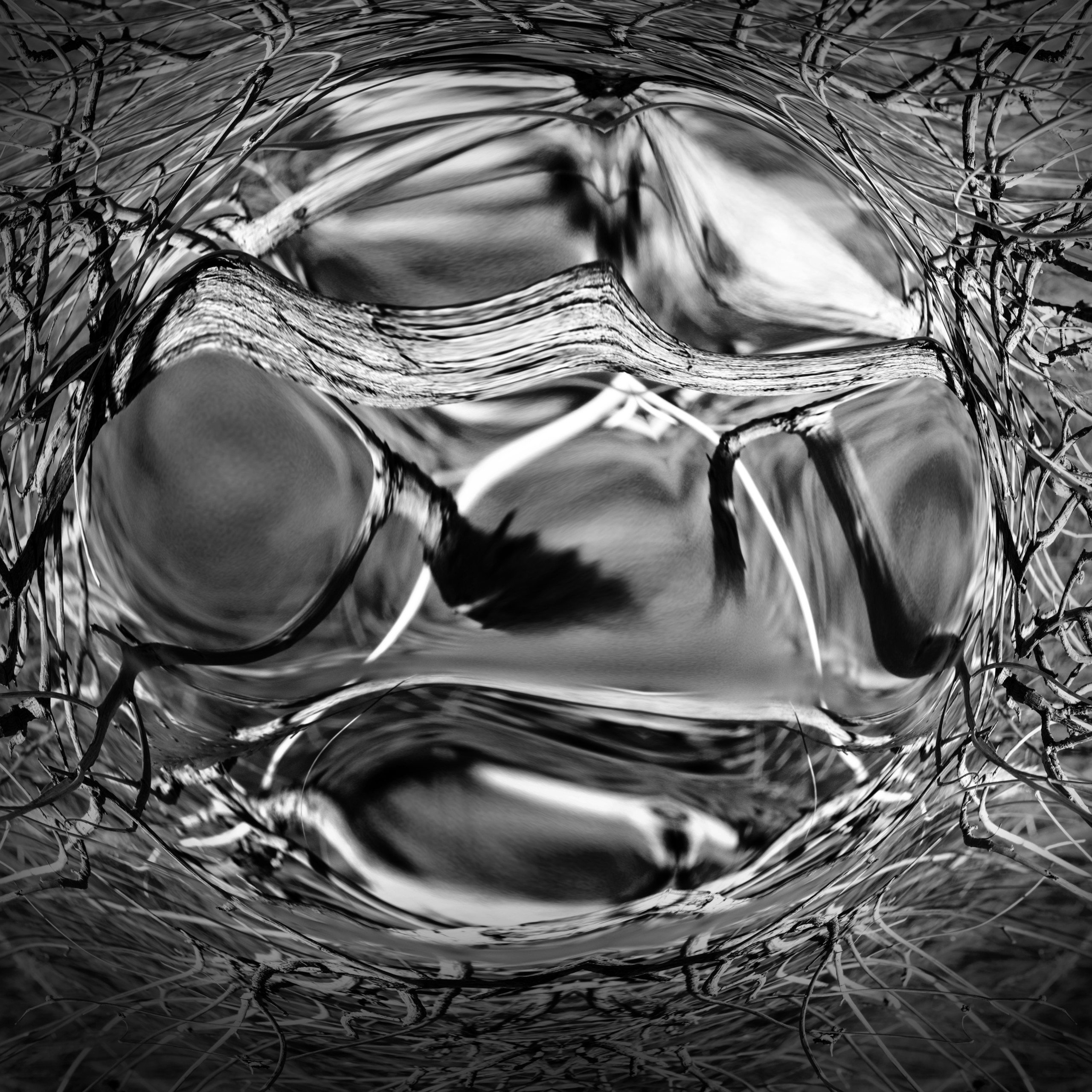 Chaos - Michael Singer - Santa Cruz Mountains Art Center